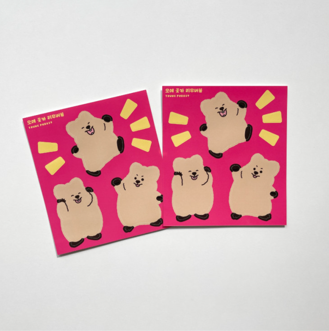 Young Forest/ Oh Hey! Quokka Big Removable Stickers 貼紙 | neomu neomu_